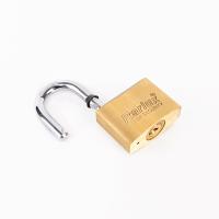 China Rarlux Waterproof Ring Solid Padlock High Quality Candado Security Brass Padlock in Bulk 40 50 60 70mm for sale