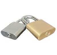 China Rarlux Trendy Style Solid Durable Anti-theft Brass Padlock with 3 Keys for sale