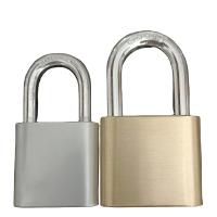 China Rarlux Trendy Style Solid Durable Anti-theft Brass Padlock with 3 Keys for sale