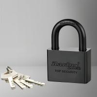 China Rarlux 40-70mm Best Padlock Waterproof Solid Padlock Iron Body Electrophoretic Staining Black square Iron Padlock for sale