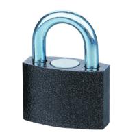 China Rarlux Industrial Safety Durable High Security Solid Iron Disc Padlock 60-70mm with Plastic Painted Body and 3 Pcs Vane Keys for sale