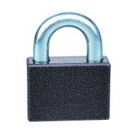 China Rarlux Industrial Safety Durable High Security Solid Iron Disc Padlock 60-70mm with Plastic Painted Body and 3 Pcs Vane Keys for sale
