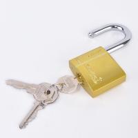 China Rarlux Solid Brass Durable Anti-Rust Waterproof High Security Anti-Theft Outdoor Padlock Custom Logo Option 3 Nickel-Plated for sale