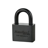 China Rarlux 40-70mm High Security Waterproof Solid Padlock Iron Body Electrophoretic Staining Black square Iron Padlock for sale