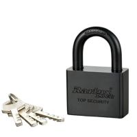 China Rarlux 40-70mm High Security Waterproof Solid Padlock Iron Body Electrophoretic Staining Black square Iron Padlock for sale