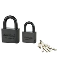 China Rarlux 40-70mm High Security Waterproof Solid Padlock Iron Body Electrophoretic Staining Black square Iron Padlock for sale
