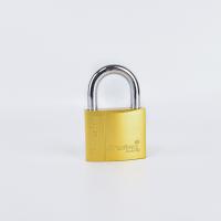 China Rarlux Solid Iron Body Brass Spray-paint European Style Anti-theft Iron Padlock for sale