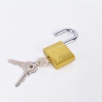 China Rarlux Solid Iron Body Brass Spray-paint European Style Anti-theft Iron Padlock for sale