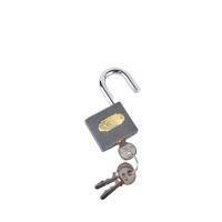 China Rarlux 20-75mm Hot Sell Anti-theft Padlock High Quality Gray Iron Padlock for sale
