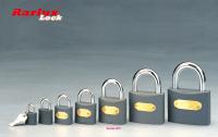 China Rarlux 20-75mm Hot Sell Anti-theft Padlock High Quality Gray Iron Padlock for sale