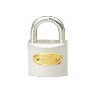 China Rarlux Industrial Safety Anti-Theft Key Padlock 20/25/32/38/50/63mm Colored Surface Iron for sale