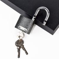 China High Security Eco-Friendly Iron Padlock with 3 Keys Multiple Sizes Plastic Painted Finish-Rarlux PPSB363 for sale