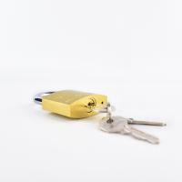 China Rarlux Iron Padlock with Long Shackle and Brass Painted Cylinder 3 Iron Keys Anti-Rust Easy Installation for sale