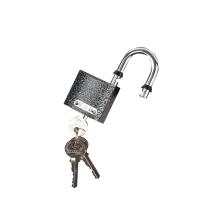 China Rarlux 50mm Lock High Quality Safety Sample Available Padlocks Waterproof Iron Padlock for sale