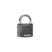 China Rarlux 50mm Lock High Quality Safety Sample Available Padlocks Waterproof Iron Padlock for sale