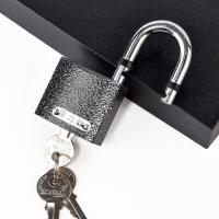China Rarlux Best Padlock 38mm Industrial Safety Products Metal Iron Thick Type Waterproof Iron Padlock for sale