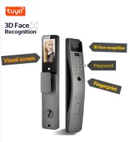 China Tuya Smart Aluminum Alloy Fingerprint & 3D Face Recognition Lock with WiFi App and Key Backup for sale
