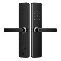 China Home Security Tuya Smart Fingerprint & Key Lock with WiFi for Home System for sale