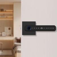 China Home Security WIFI Tuya APP Smart Glass Door Lock with Fingerprint Password Card Key Unlock for Home System for sale