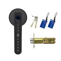 China Tuya  Smart Lock Electronic Keypad Entry Door Auto Lock Password Smart Handle Fingerprint Door Lock for sale