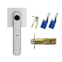 China Tuya Smart Lock with Fingerprint & Password Entry Aluminum Alloy Electronic Keypad & Auto Lock Handle for Secure Door Access for sale