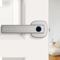 China Tuya Smart Lock Durable Aluminum Alloy Auto Entry Door with Fingerprint Password Card and for Easy Installation for sale