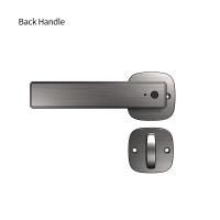 China Tuya Smart Lock Fingerprint Password Key Durable Aluminum Alloy Construction Auto Lock Easy Installation Door Lock for sale