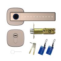 China Tuya Smart Lock Fingerprint Electronic Keypad Entry Aluminum Alloy Royal Gold Color Durable Auto-locked Door Handle Smart for sale