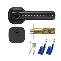China Tuya Smart Lock HL50 Matte Black Aluminum Alloy Durable Electronic Keypad Entry Fingerprint Password Card & for for Door for sale