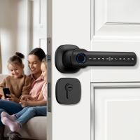 China Tuya Smart Lock HL50 Matte Black Aluminum Alloy Durable Electronic Keypad Entry Fingerprint Password Card & for for Door for sale
