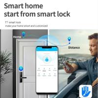 China Smart Home Security Aluminum Alloy Electric Door Lock with Durable Waterproof Design WIFI & TT APP Fingerprint Key Access for sale