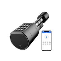 China European Door Lock Cylinder Smart Lock TT Lock RARLUX LVD11 App Unlock Durable Key Fingerprint/Card/APP Home Use for sale