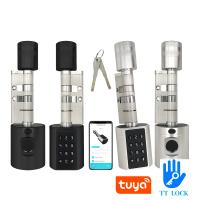 China European Door Lock Cylinder Smart Lock TT Lock RARLUX LVD11 App Unlock Durable Key Fingerprint/Card/APP Home Use for sale