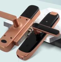 China Tuya Smart Lock Biometric Fingerprint Recognition Home Safety Electric Digital Big Gate Face ID Key Unlock Cerraduras Padlock for sale