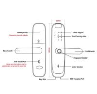 China Tuya Smart Lock Biometric Fingerprint Recognition Home Safety Electric Digital Big Gate Face ID Key Unlock Cerraduras Padlock for sale