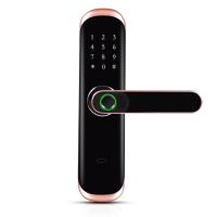 China Home Safety Aluminum Alloy Durable Face ID Electric Digital Room Door Tuya Biometric Fingerprint Lock Anti-Theft Password Card for sale