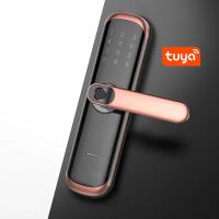 China Home Safety Aluminum Alloy Durable Face ID Electric Digital Room Door Tuya Biometric Fingerprint Lock Anti-Theft Password Card for sale