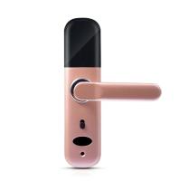 China Home Safety Aluminum Alloy Durable Face ID Electric Digital Room Door Tuya Biometric Fingerprint Lock Anti-Theft Password Card for sale