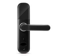 China Home Safety Aluminum Alloy Durable Face ID Electric Digital Room Door Tuya Biometric Fingerprint Lock Anti-Theft Password Card for sale