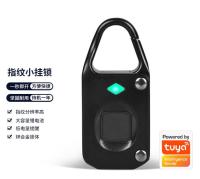 China Hot Selling RARLUX DBX80 Zinc Alloy Durable Fingerprint Padlock Hardened Shackle Travel Luggage Security Gym/School Lockers for sale