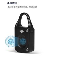 China Hot Selling RARLUX DBX80 Zinc Alloy Durable Fingerprint Padlock Hardened Shackle Travel Luggage Security Gym/School Lockers for sale