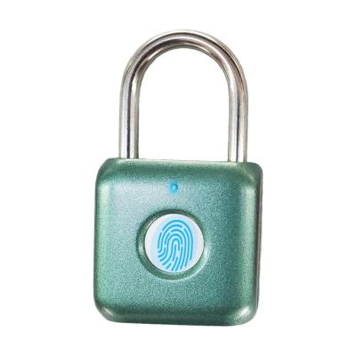 China Hot Selling Mini Green IP65 Smart Electronic Padlock Finger Print Access Travel Luggage Suitcase Security Door Locks for sale