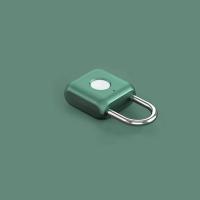 China Hot Selling Mini Green IP65 Smart Electronic Padlock Finger Print Access Travel Luggage Suitcase Security Door Locks for sale