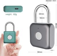 China Hot Selling Mini Green IP65 Smart Electronic Padlock Finger Print Access Travel Luggage Suitcase Security Door Locks for sale