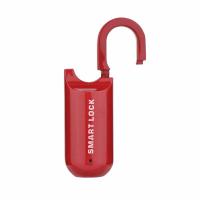China Best Selling RARLUX Smart Finger Print Zinc Alloy Padlock IP65 Waterproof Rechargeable 110mAh Battery 10 Fingerprint Lock School for sale