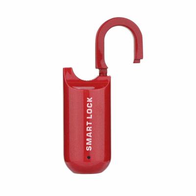 China Best Selling RARLUX Smart Finger Print Zinc Alloy Padlock IP65 Waterproof Rechargeable 110mAh Battery 10 Fingerprint Lock School for sale