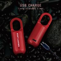 China Best Selling RARLUX Smart Finger Print Zinc Alloy Padlock IP65 Waterproof Rechargeable 110mAh Battery 10 Fingerprint Lock School for sale