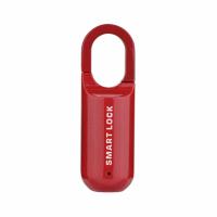 China Best Selling RARLUX Smart Finger Print Zinc Alloy Padlock IP65 Waterproof Rechargeable 110mAh Battery 10 Fingerprint Lock School for sale