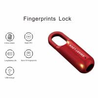 China Best Selling RARLUX Smart Finger Print Zinc Alloy Padlock IP65 Waterproof Rechargeable 110mAh Battery 10 Fingerprint Lock School for sale