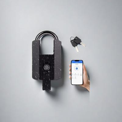 China New Model Big Size Durable Biometric Outdoor IP67 Waterproof USB Rechargeable Eco-Friendly Smart Lock Fingerprint TT Lock for for sale